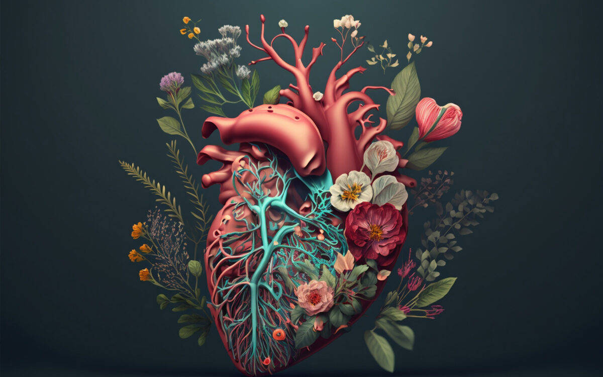 So halten Sie Ihr Herz gesund und stark | Mein Tag - Der Gesundheitsratgeber Ihrer Guten Tag ...